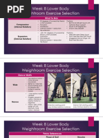 McGill Big 3 Core Exercises | PDF | Musculoskeletal System