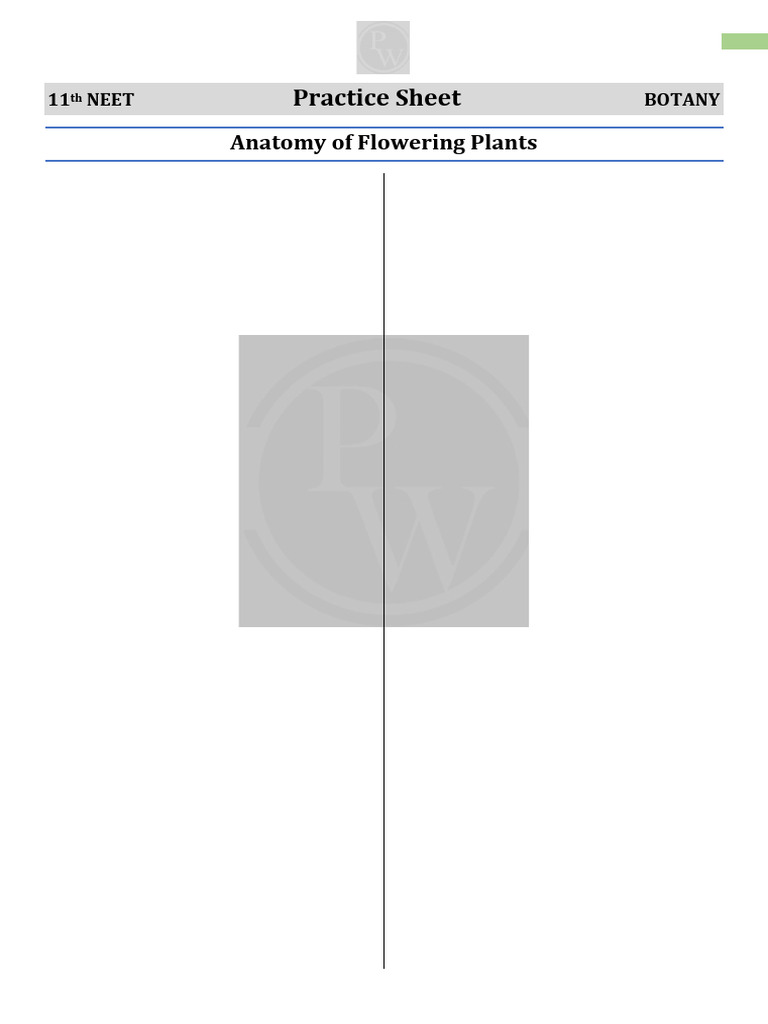 DPP 11th NEET Anatomy of Flowering Plants Botany Mukul Zade Sunny | PDF ...