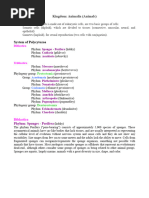 Sponge Body Plans: Asconoid Explained | PDF | Sponge | Cell Biology