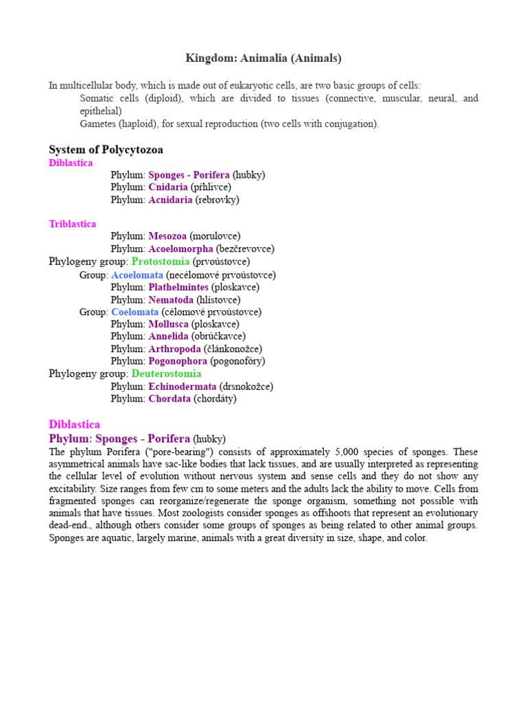 sponges | PDF | Sponge | Reproduction
