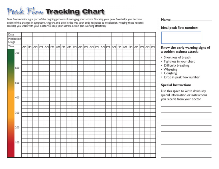 Blank Peak Flow Chart Printable | PDF