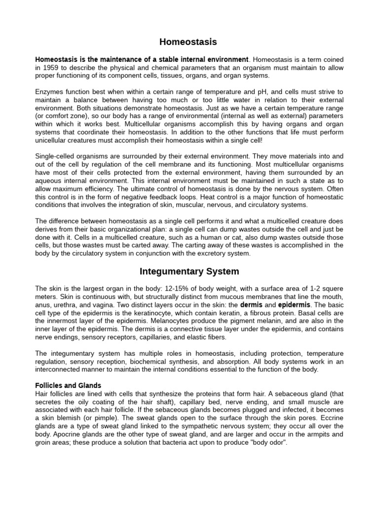 Homeostasis_integumentary_system | PDF | Skin | Integumentary System