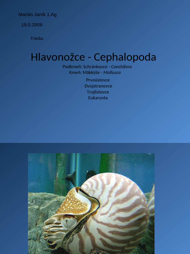 Hlavonožce - Cephalopoda | PDF