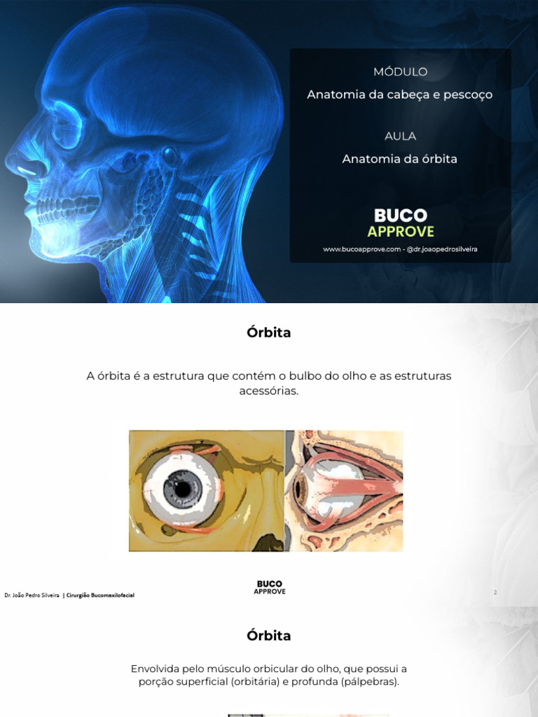 ANATOMIA+DA+ÓRBITA | PDF | Cabeça e pescoço humano | Anatomia humana