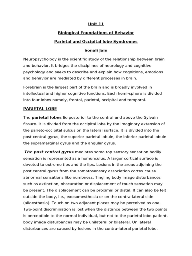 Unit 11 Parietal and Occipital Lobe Syndromes | PDF | Parietal Lobe | Cerebral Cortex