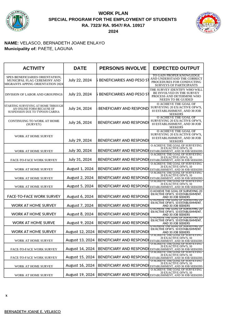 WORKPLAN Sample - xlsx100 | PDF | Labor | Business