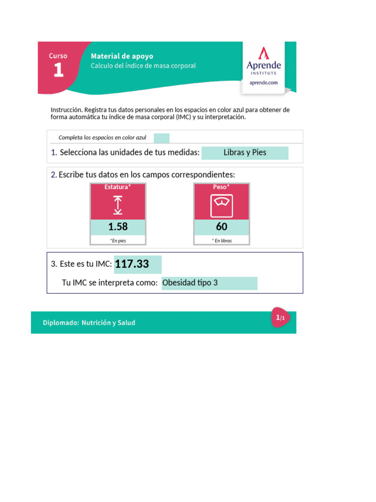 Calculadora IMC | PDF