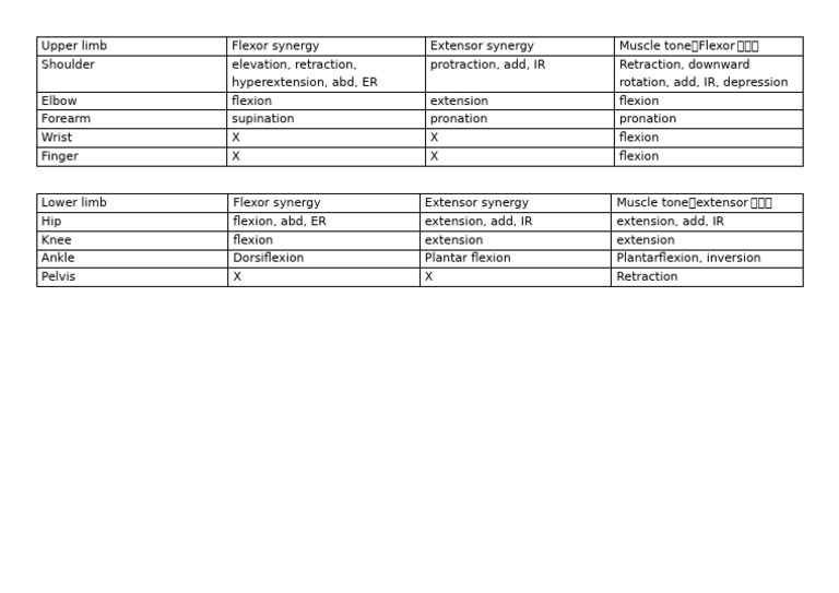 神經synergy Pattern vs Muscle Tone | PDF