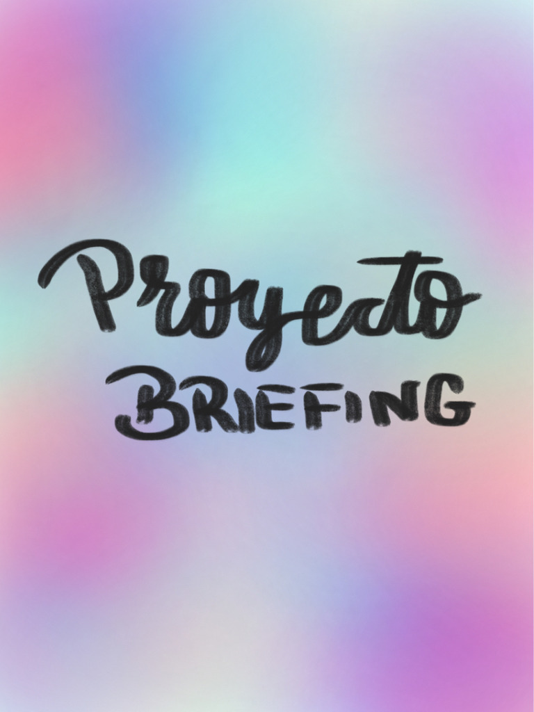 Briefing PDF | PDF | Ropa | Vestir