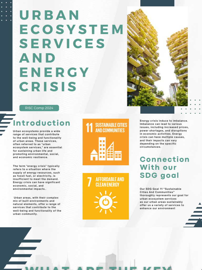 Urban Ecosystem Services and Energy Crisis | PDF | Sustainable Energy ...