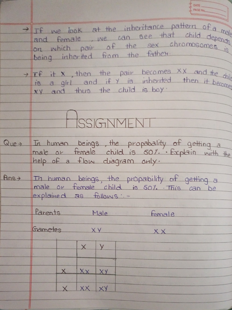Heredity 1 | PDF | Allele | Dominance (Genetics)