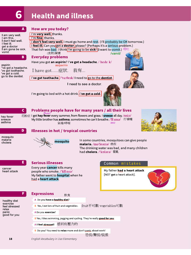 English Vocabulary in Use Elementary U6-10 | PDF