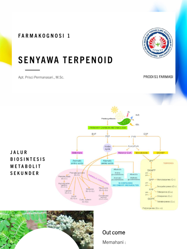 Terpenoid | PDF