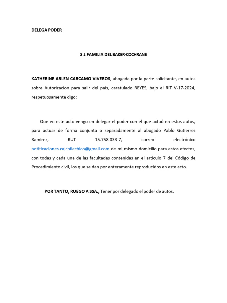 Delega Poder Pablo | PDF