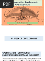 Third Week of Development: Trilaminar Germ Disc | PDF | Anatomy ...