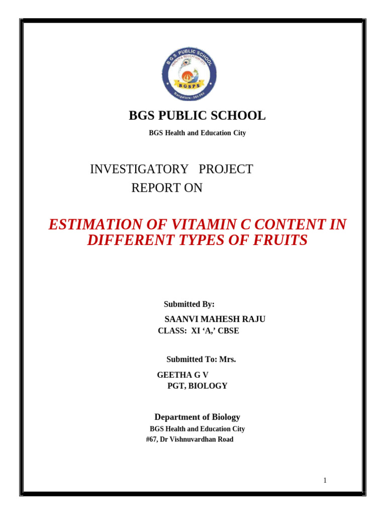 Project Report Sample | PDF