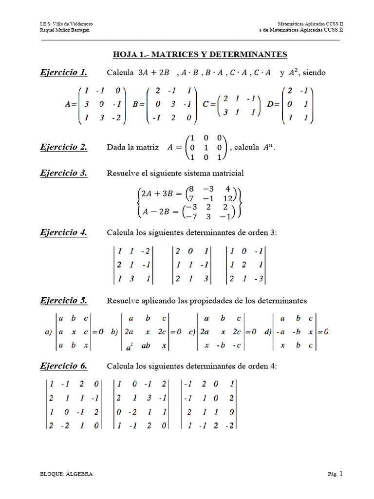Ejercicios de Algebra I | PDF | Matriz (Matemáticas) | Determinante
