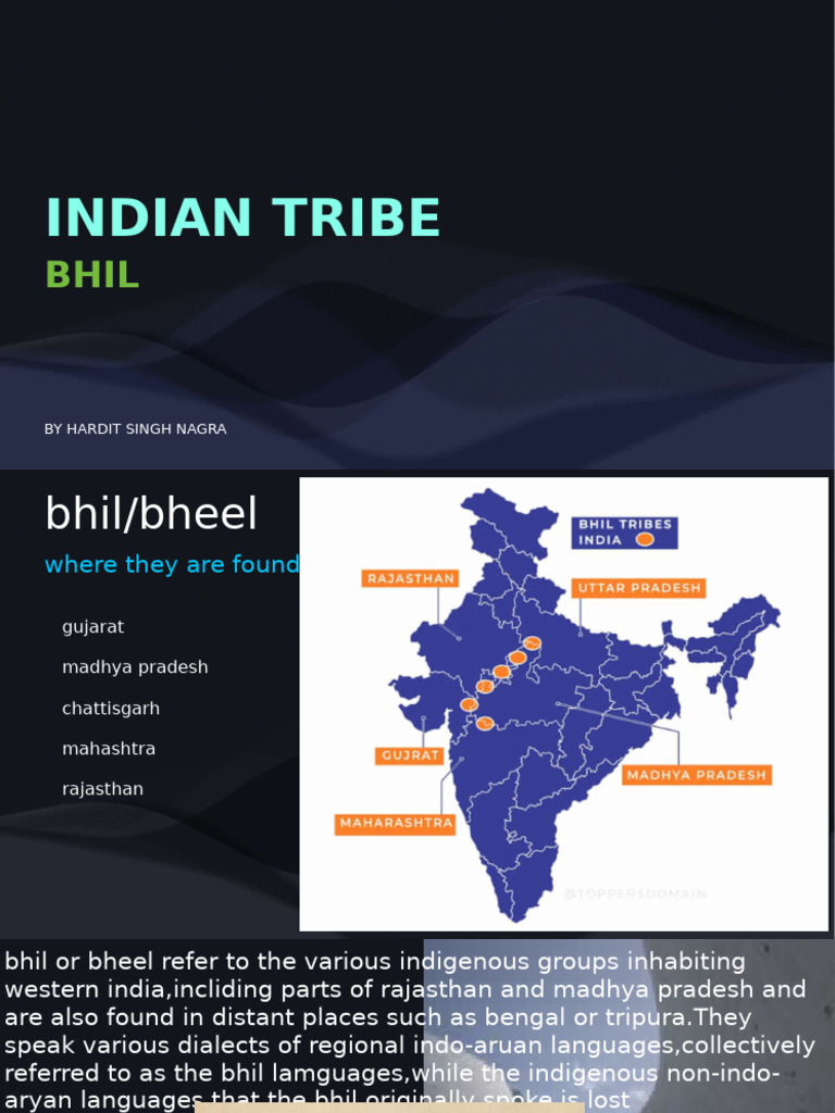 Overview of the Bhil Tribe in India | PDF