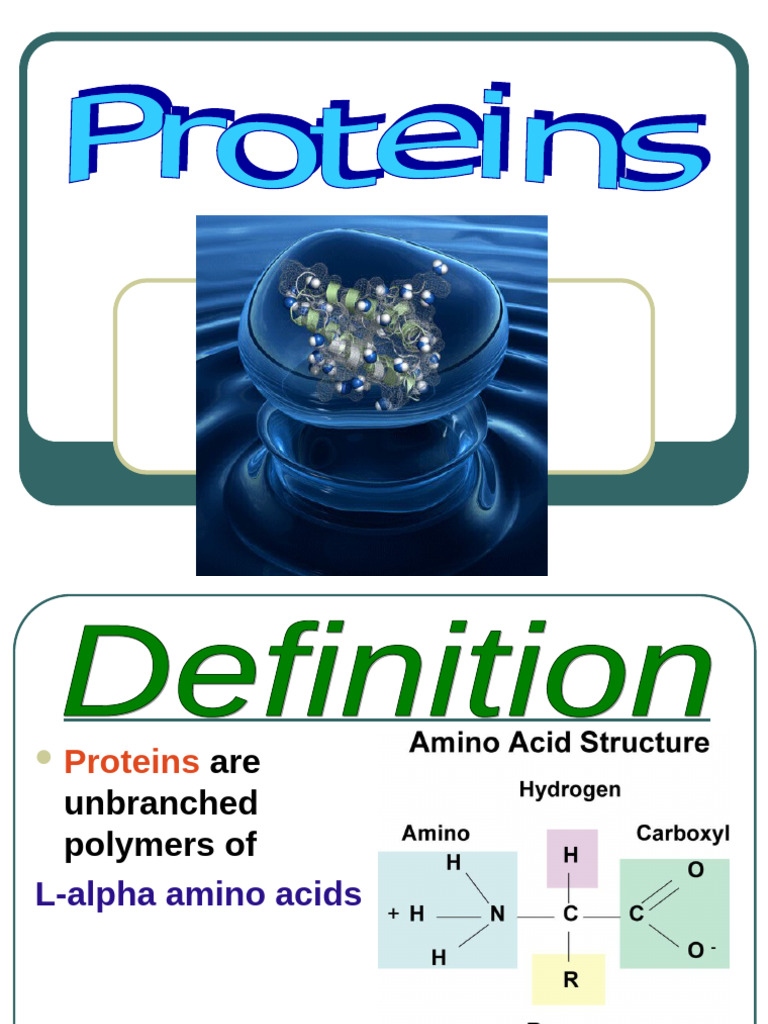 Structure of Proteins | PDF | Proteins | Protein Folding