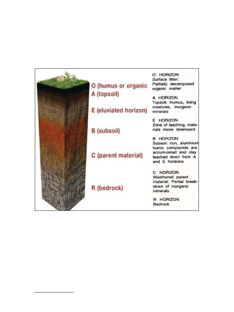 chp4 Environment Pollution 2 | PDF | Soil | Radioactive Decay