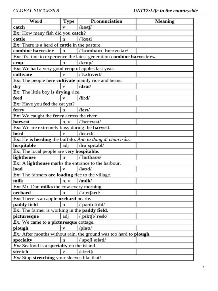 Bài Test 8 Global UNIT 2 - PRACTICE TEST | PDF