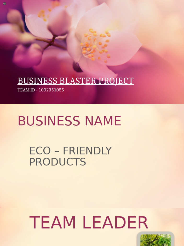 Business Blaster Projest | PDF