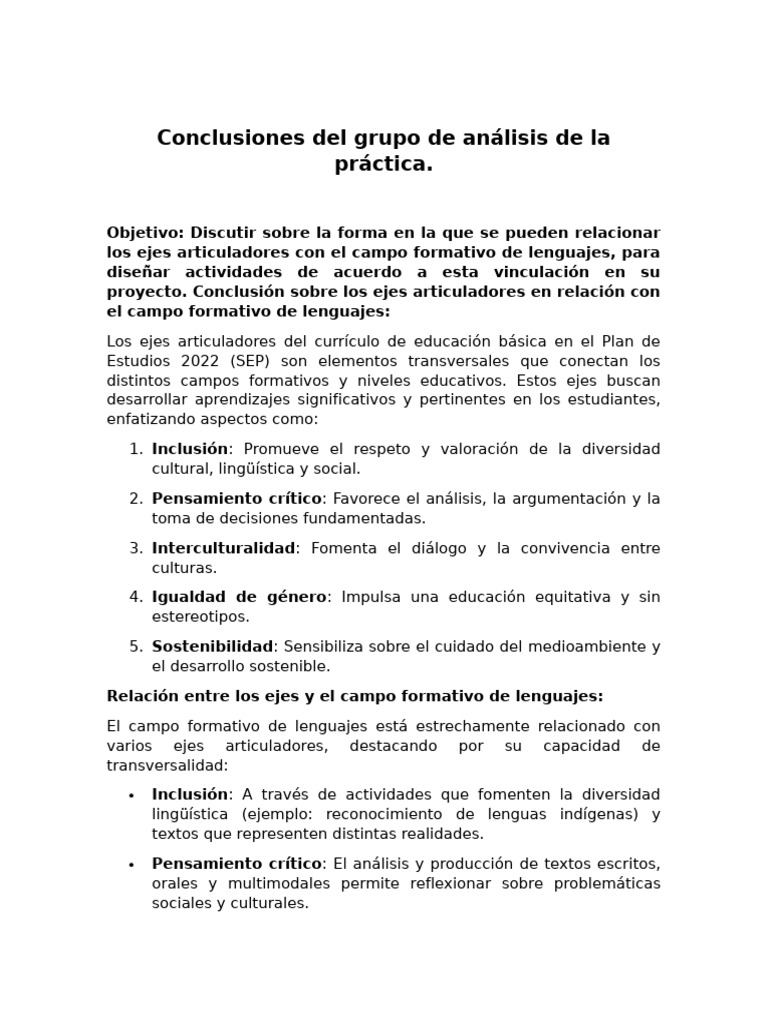 Conclusiones Del Grupo de Análisis de La Práctica | PDF | Inclusión (Educación) | Sustentabilidad
