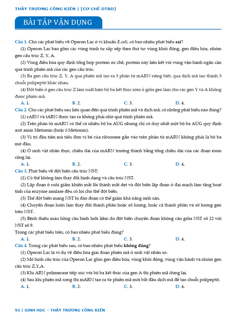 D-VD, VDC Phân Tử 1 | PDF