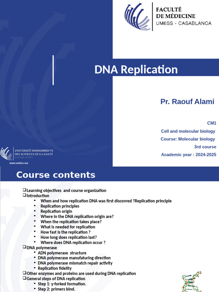 DNA Replication Course Overview | PDF | Dna Replication | Primer ...