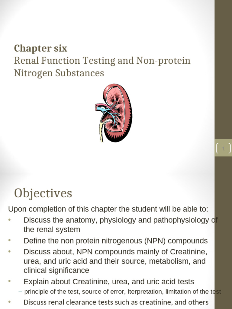 Kidney function tests | PDF | Kidney | Urinary System