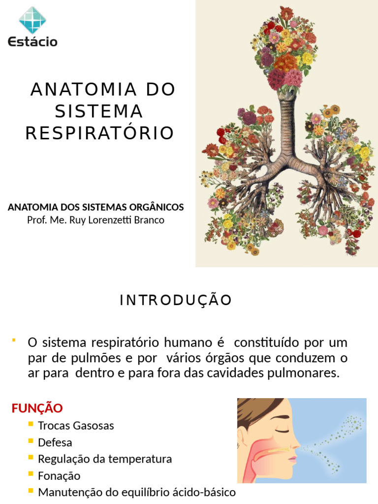 Sistema Respirat Rio | PDF | Sistema respiratório | Pulmão