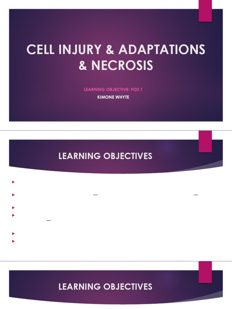 Cellular Adaptaion, Injury & Necrosis | PDF | Apoptosis | Blood Pressure