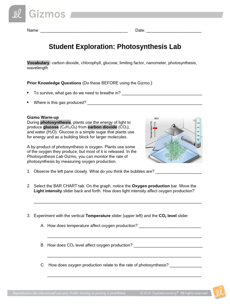 Photosynthesis Gizmo Student Workbook | PDF | Photosynthesis | Carbon ...