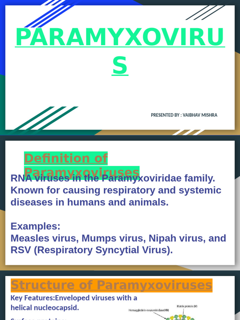 Paramyxovirus | PDF