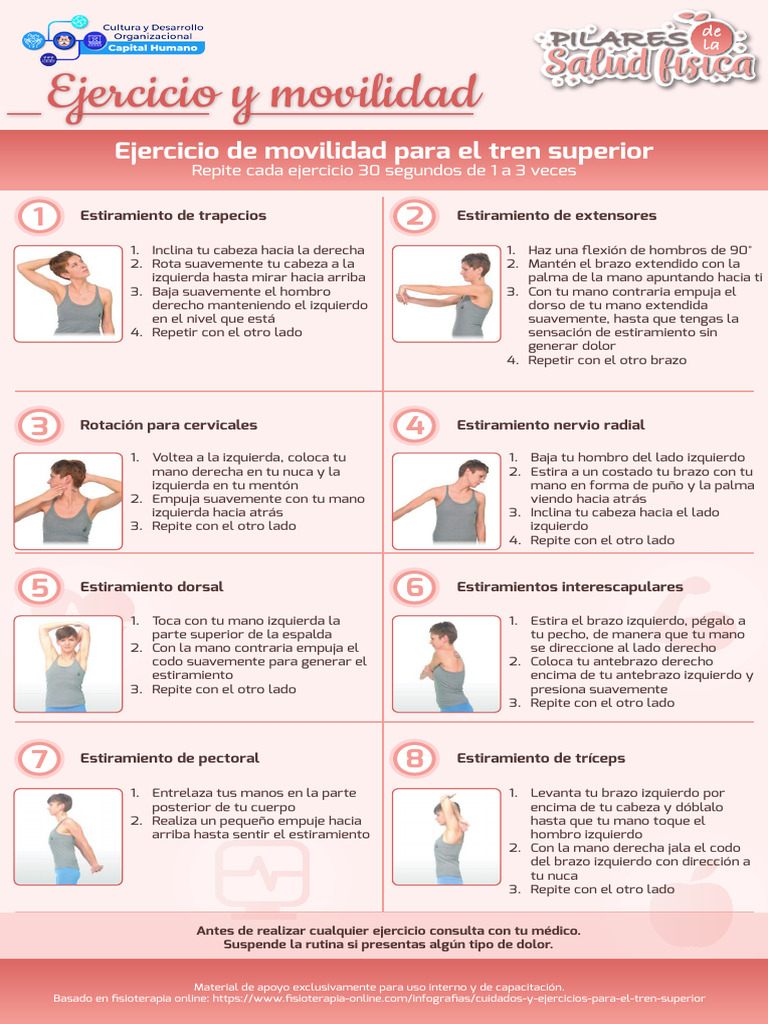 Estiramientos de Tren Superior | PDF | Mano | Codo