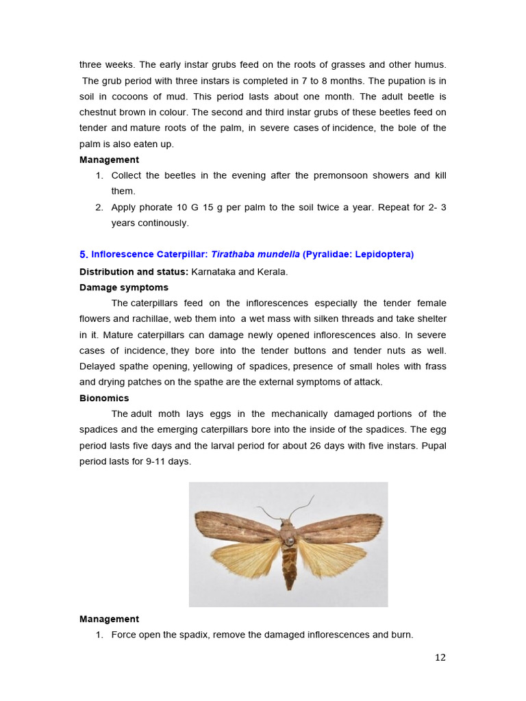 Crop Pests and Stored Grain Pests and Their Management 120 | PDF