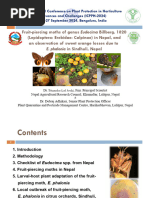 Science Investigatory Project | PDF | Citrus | Wellness