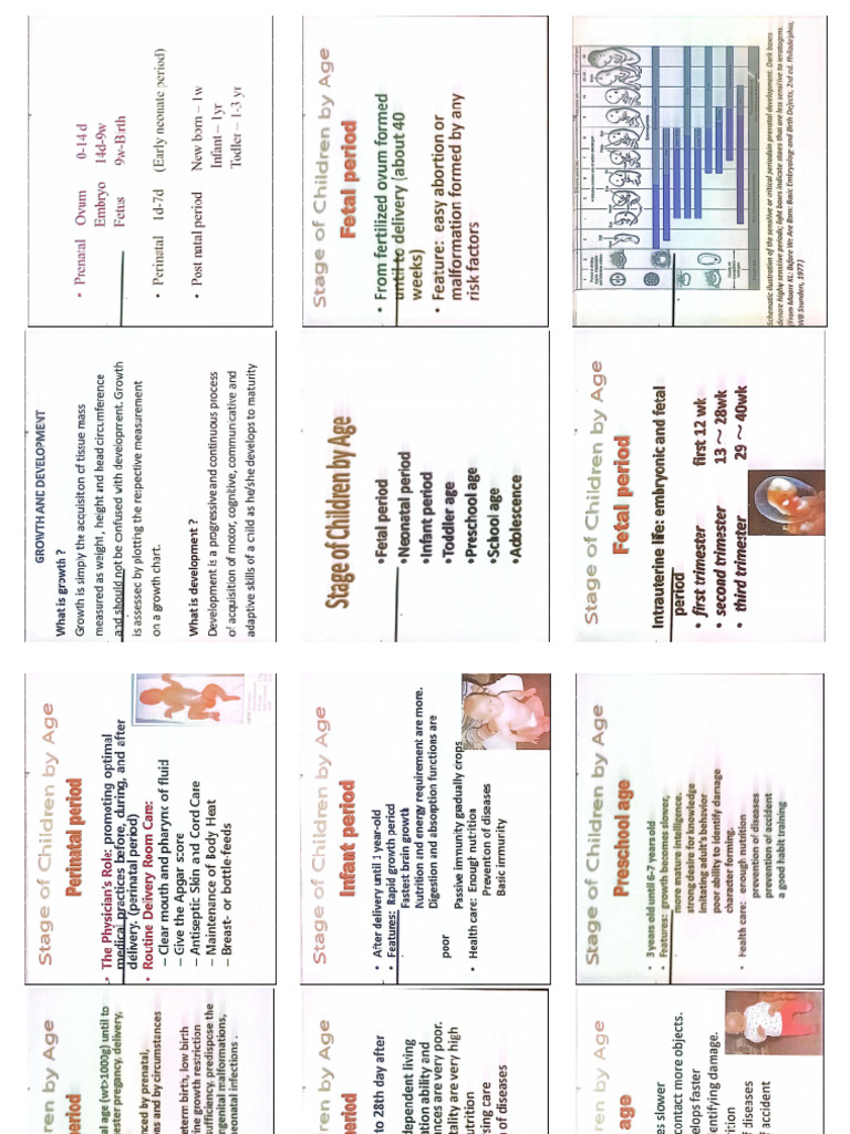 Growth & Development | PDF