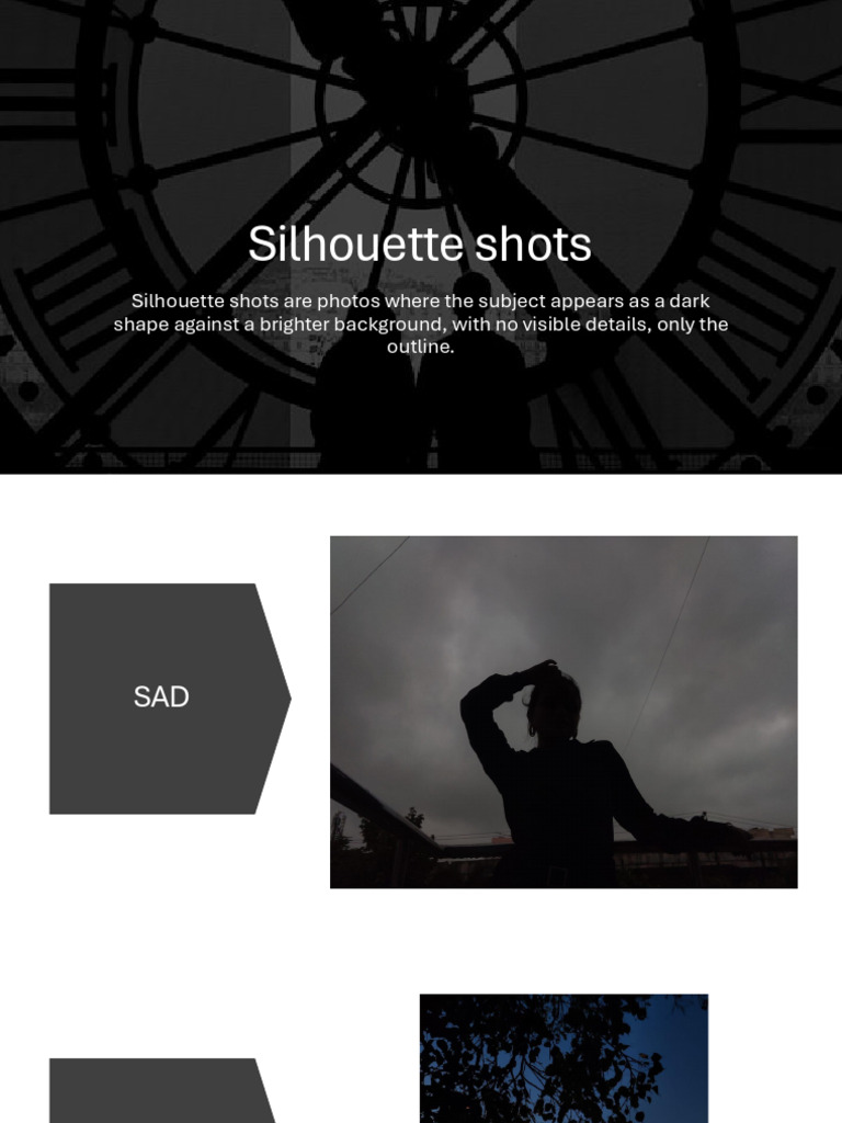 Silhouette Shots | PDF