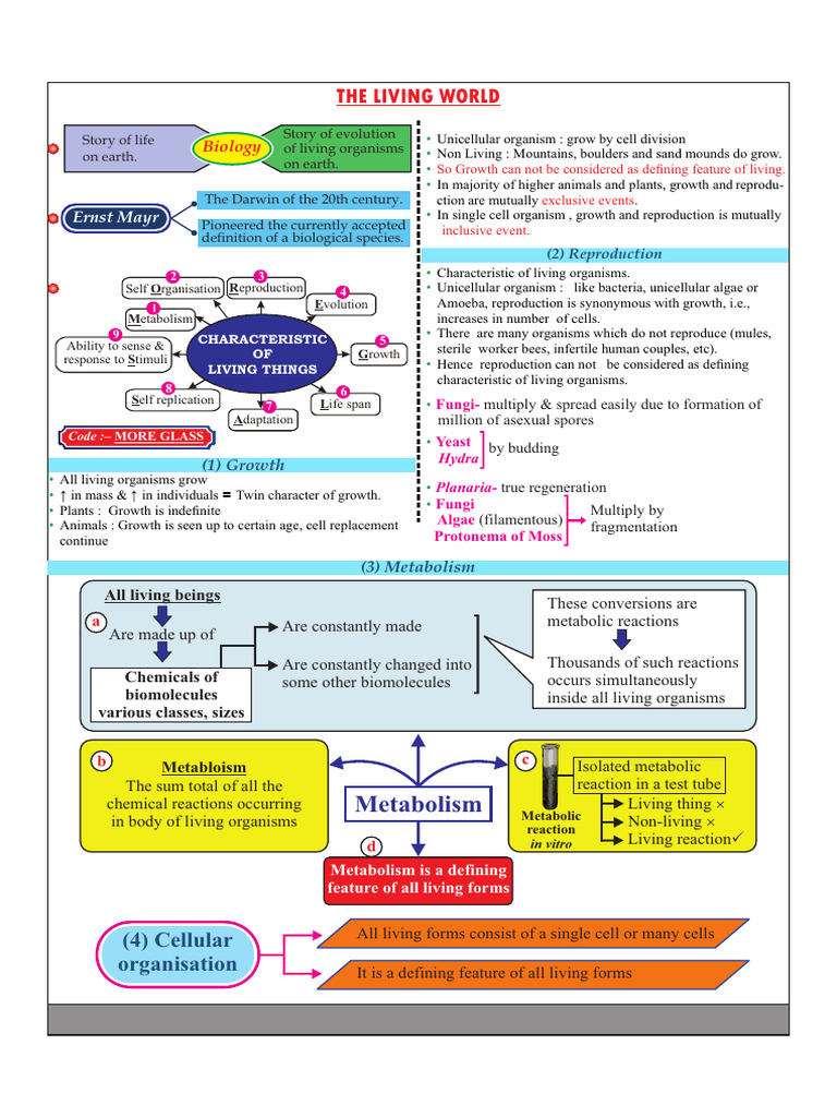 Biology & Evolution Essentials | PDF | Taxonomy (Biology) | Genus