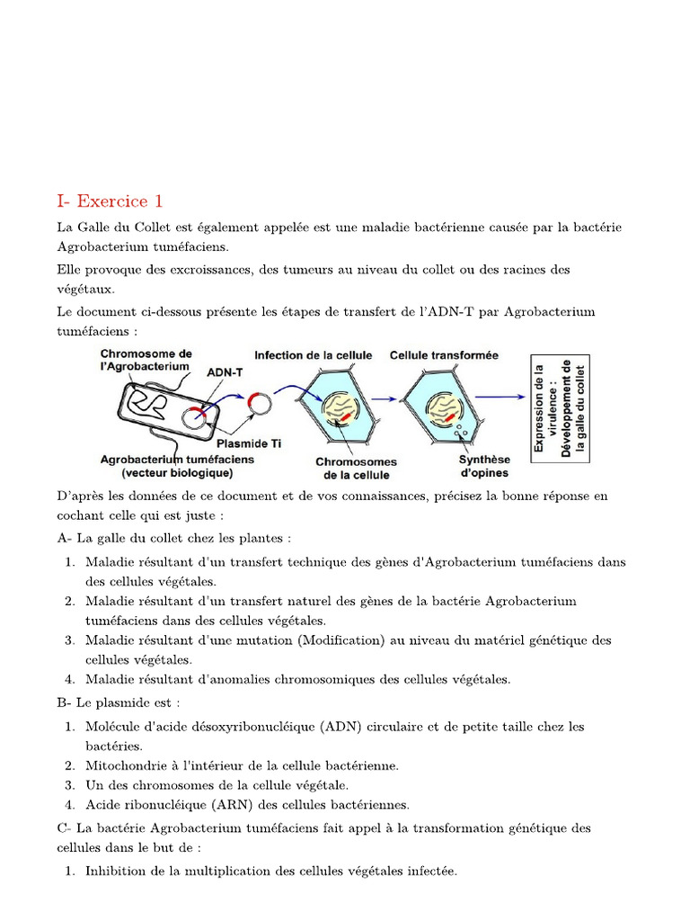 SVT Exercie 1bac | PDF