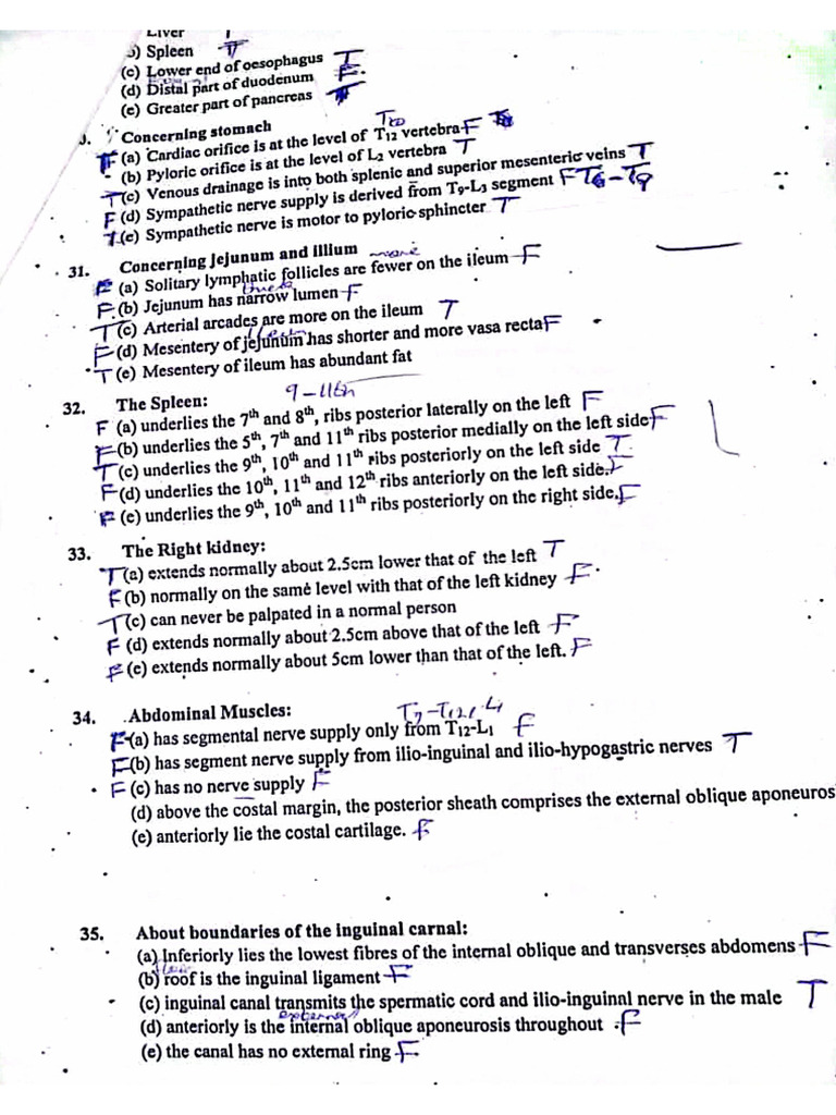 PQ 3 (Anatomy) | PDF