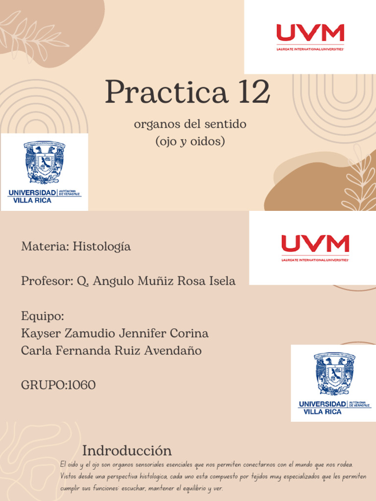 Practica 12 Histologia | PDF | Ojo | Oído