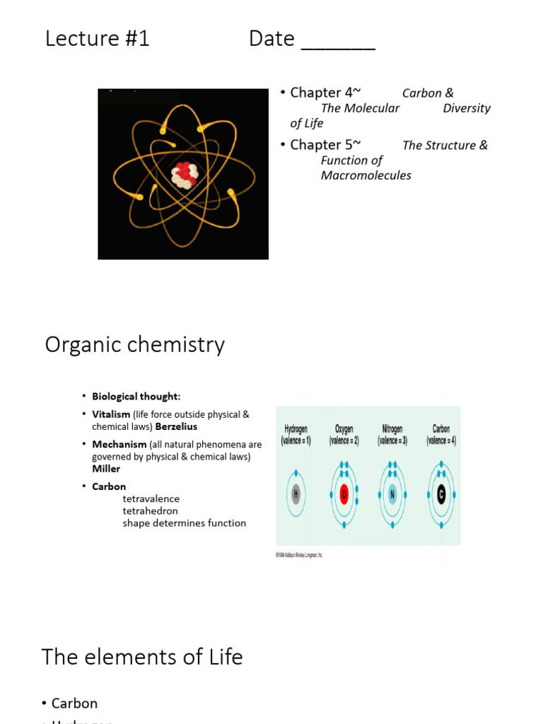 Carbon and Macromolecules Overview | PDF | Carbohydrates | Dna