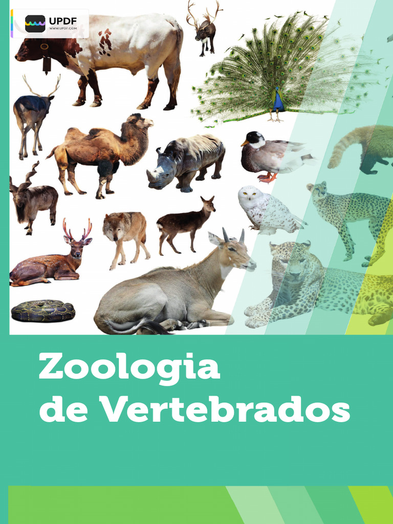 Zoologia de Vertebrados | PDF | Vertebrados