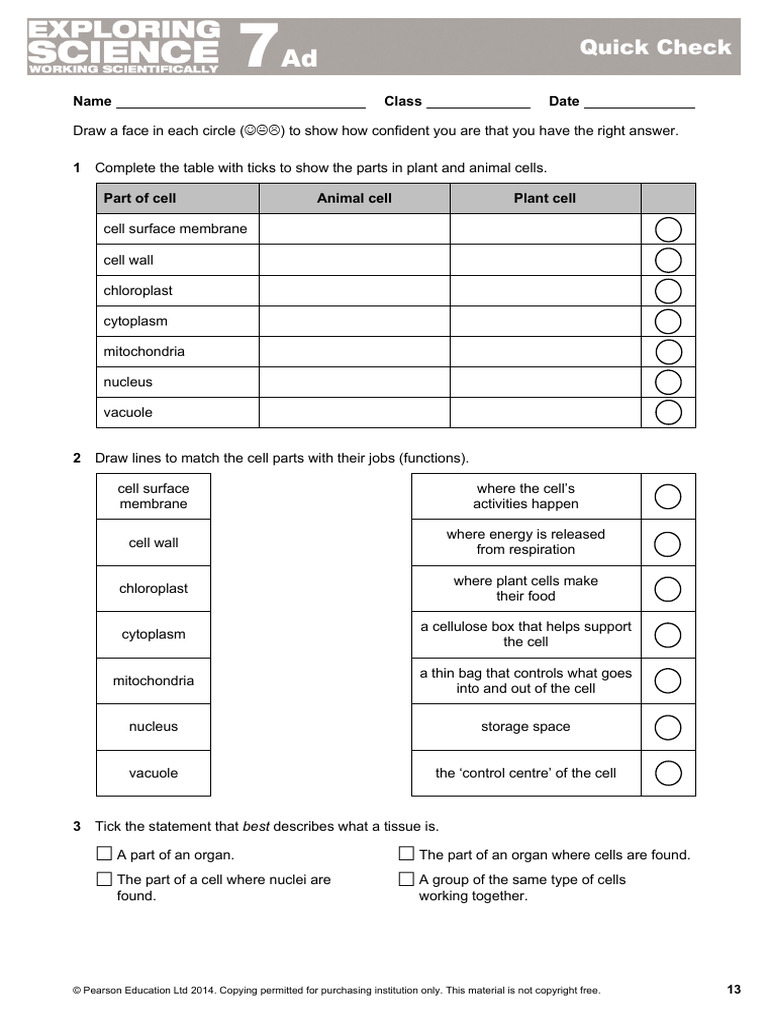 Lesson-3--Parts-of-a-cell-worksheet | PDF | Cell (Biology) | Tissue ...