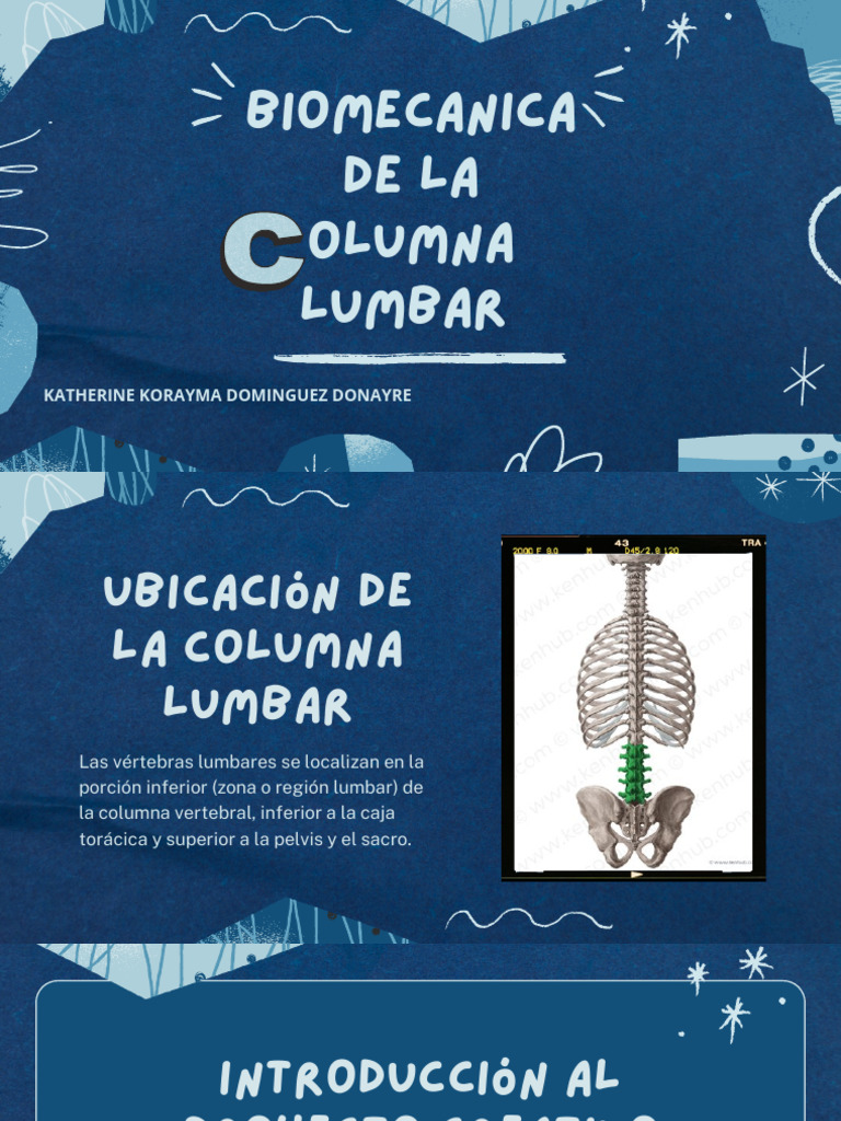 Biomecanica-De-La 20241014 183014 0000 | PDF