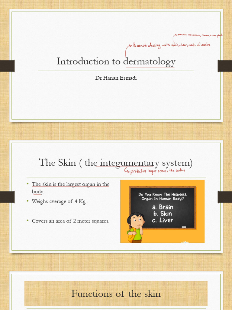 Dermatology Lectures Slides 3rd Year | PDF | Skin | Immunology