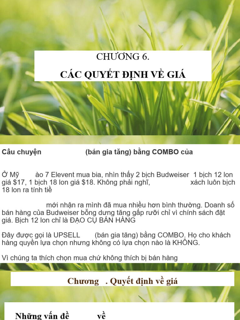 Chuong 6. Quyet Dinh Ve Gia | PDF