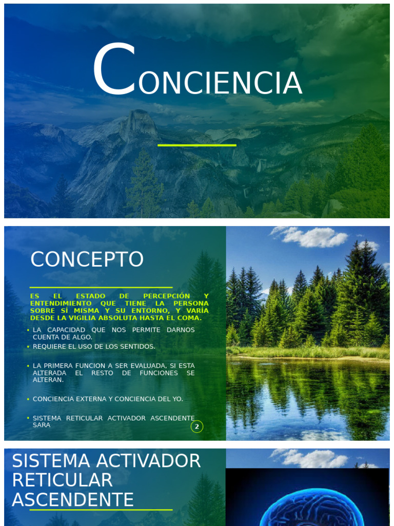 Clase 5 Psicología y Psicopatología Mar Ago 24 | PDF | Conciencia | Coma